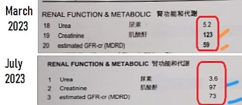 NephroRegen - Regenerates & repairs kidney damages. Restores healthy ...