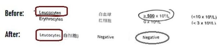 NephroRegen - Regenerates & repairs kidney damages. Restores healthy ...