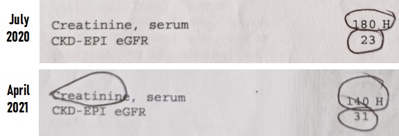 NephroRegen - Regenerates & repairs kidney damages. Restores healthy ...